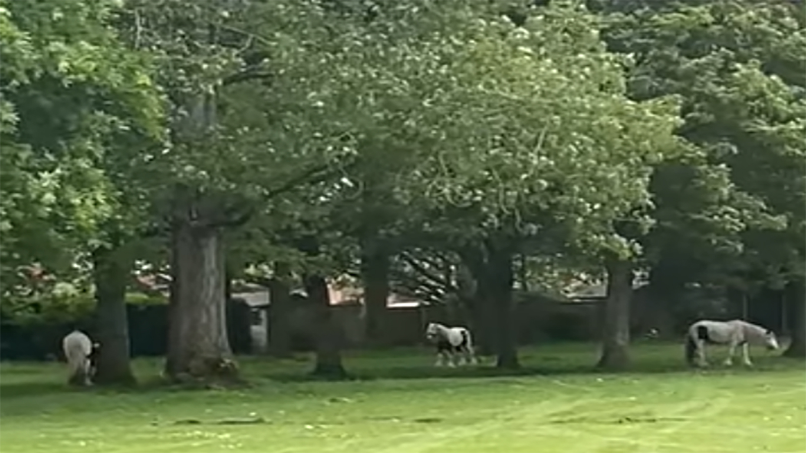 Travellers' arrival at Moor Nook Park divides the local community ...