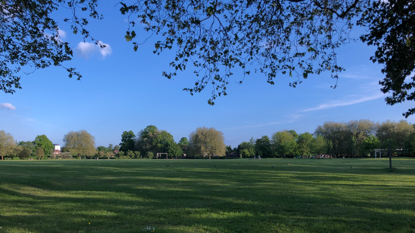 Picnic in the Park returns to Ashton Park - Sale Today