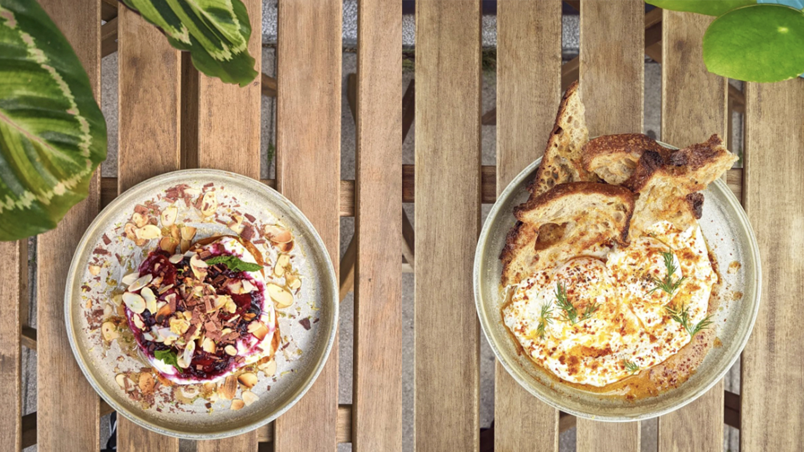 Propeller Coffee extends summer food menu - Sale Today