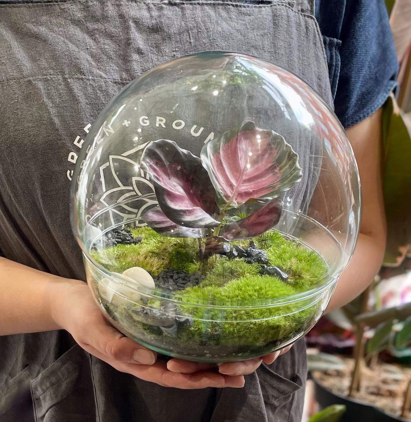 COMING SOON: Plant and gift shop Green and Grounded expand into Sale ...